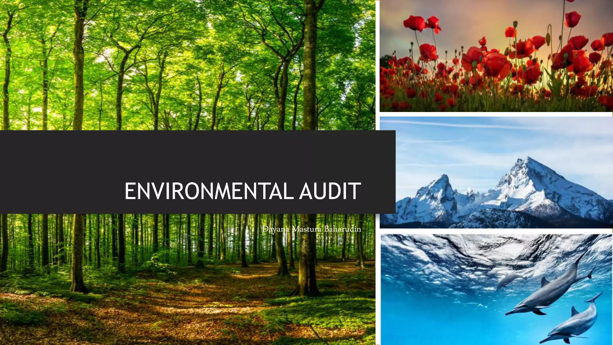 Environmental Audit | PPTX