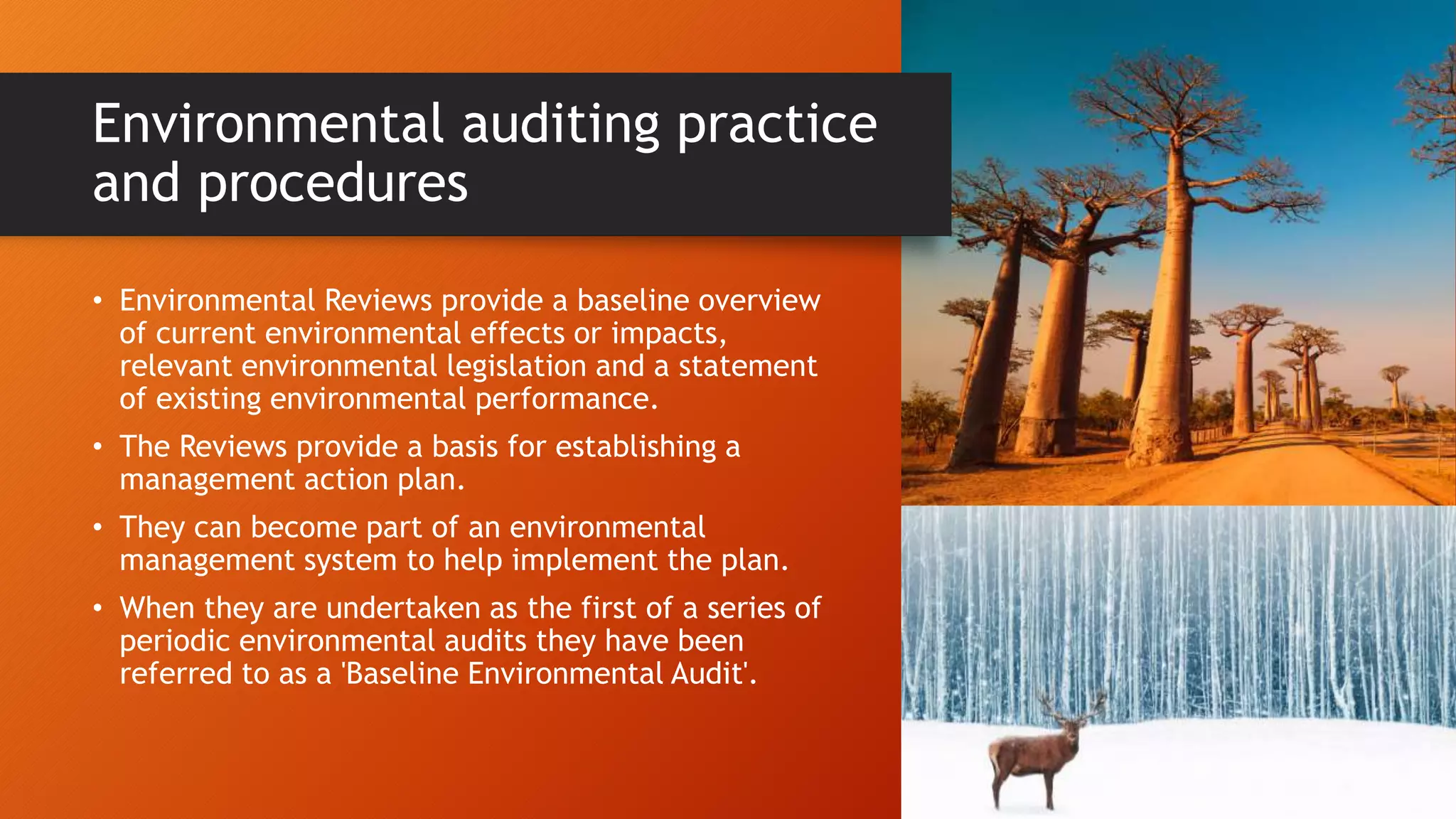 Environmental Audit | PPTX