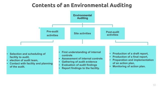 Environmental Audit | PPTX
