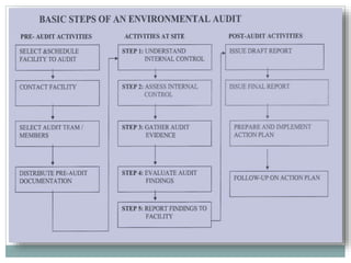 Environmental audit methodology | PPTX