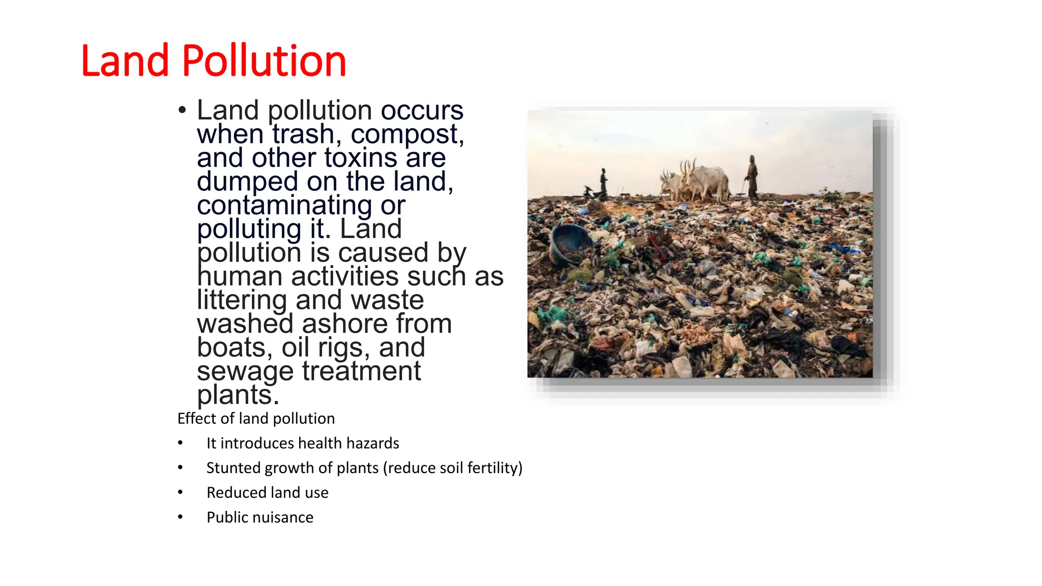 Environmental awareness and safety precautions | PPTX