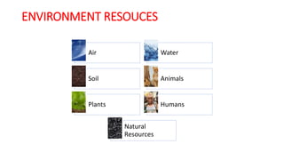 Environmental awareness and safety precautions | PPTX