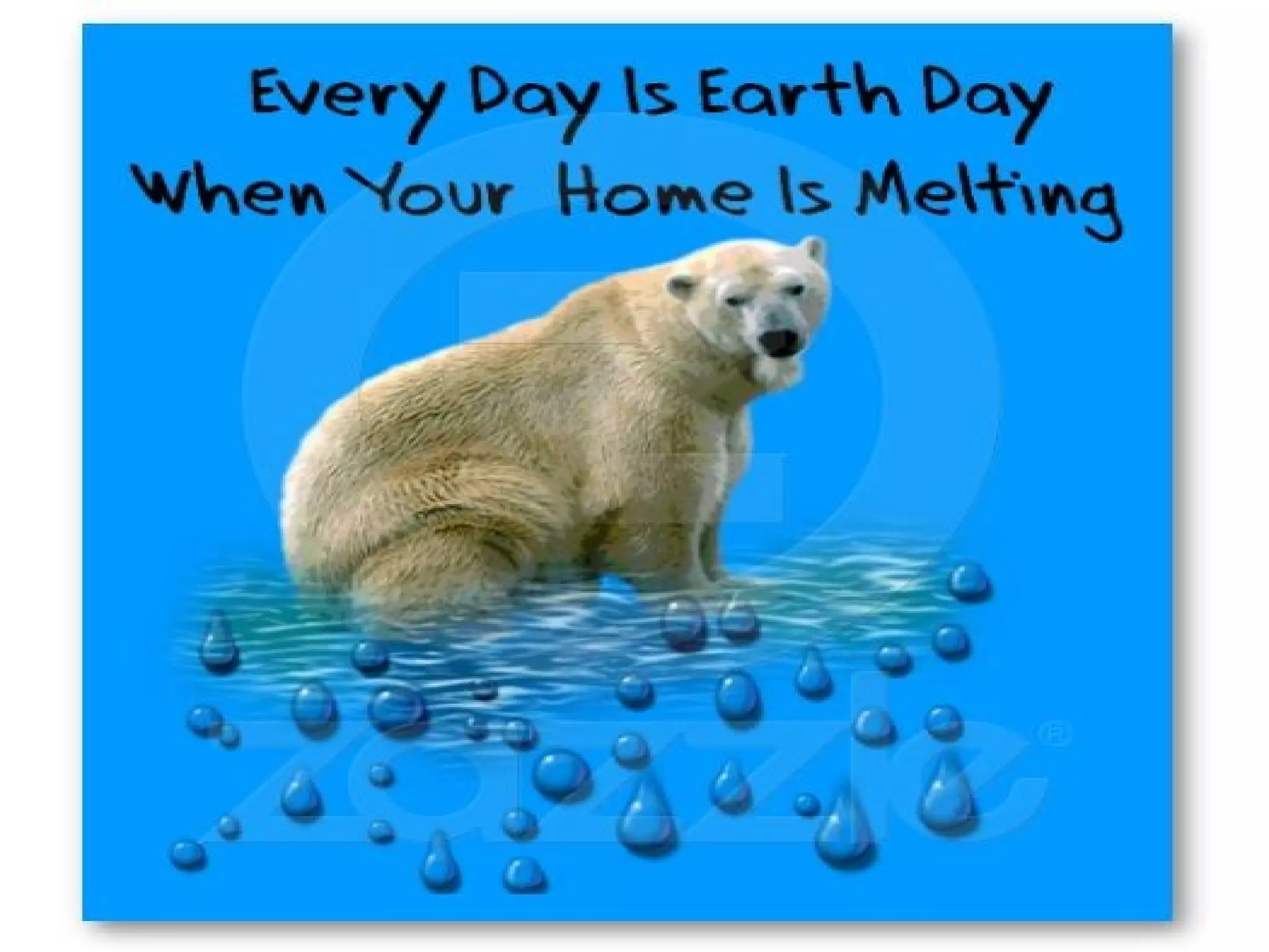 Environmental Awareness Campaign | PPT