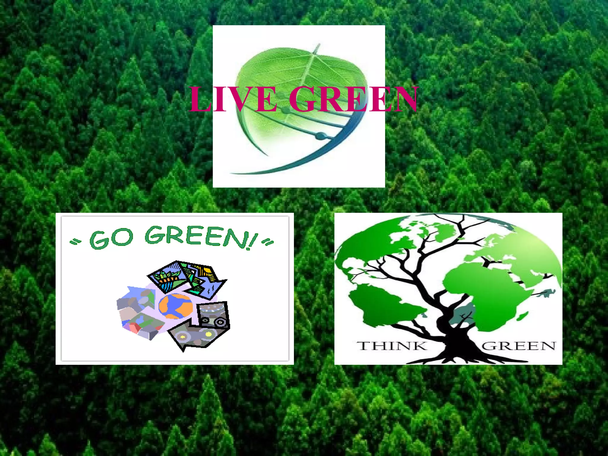 Environmental Awareness Campaign | PPT