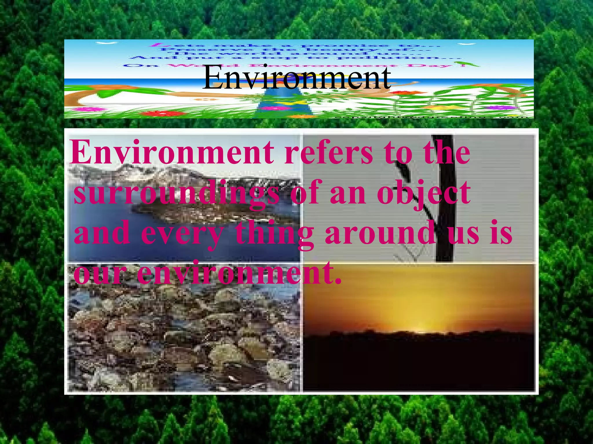 Environmental Awareness Campaign | PPT