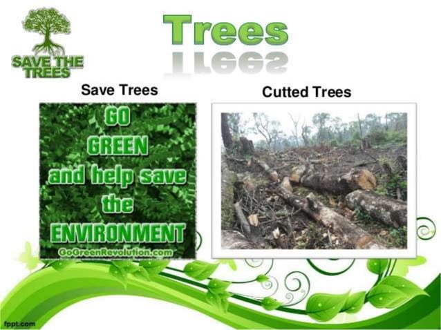 Environmental awareness presentation 2 | PPT