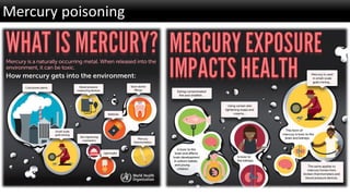 Environmental Biochemistry: Heavy metals, Food contaminants and ...