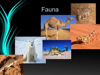 Desert Ecosystem | PPTX