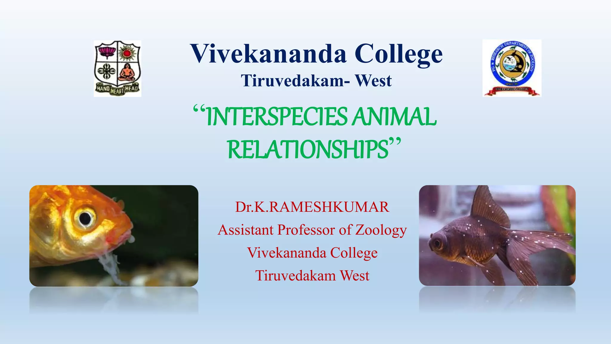 Environmental biology - animal relationship | PPT
