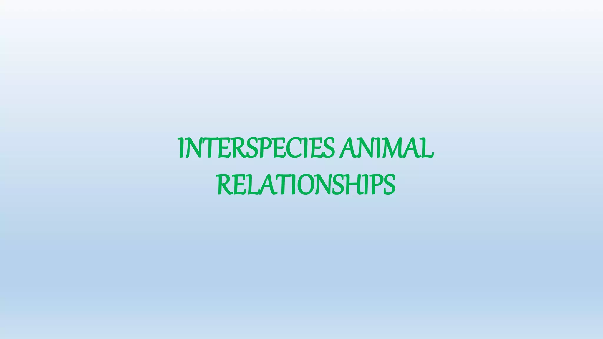 Environmental biology - animal relationship | PPT