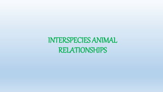 Environmental biology - animal relationship | PPT