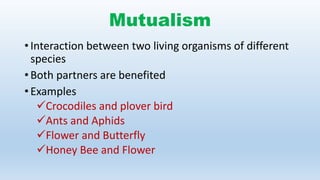 Environmental biology - animal relationship | PPT