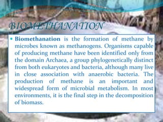 Environmental biotechnology | PPTX
