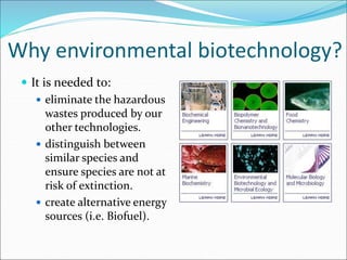 Environmental biotechnology | PPT