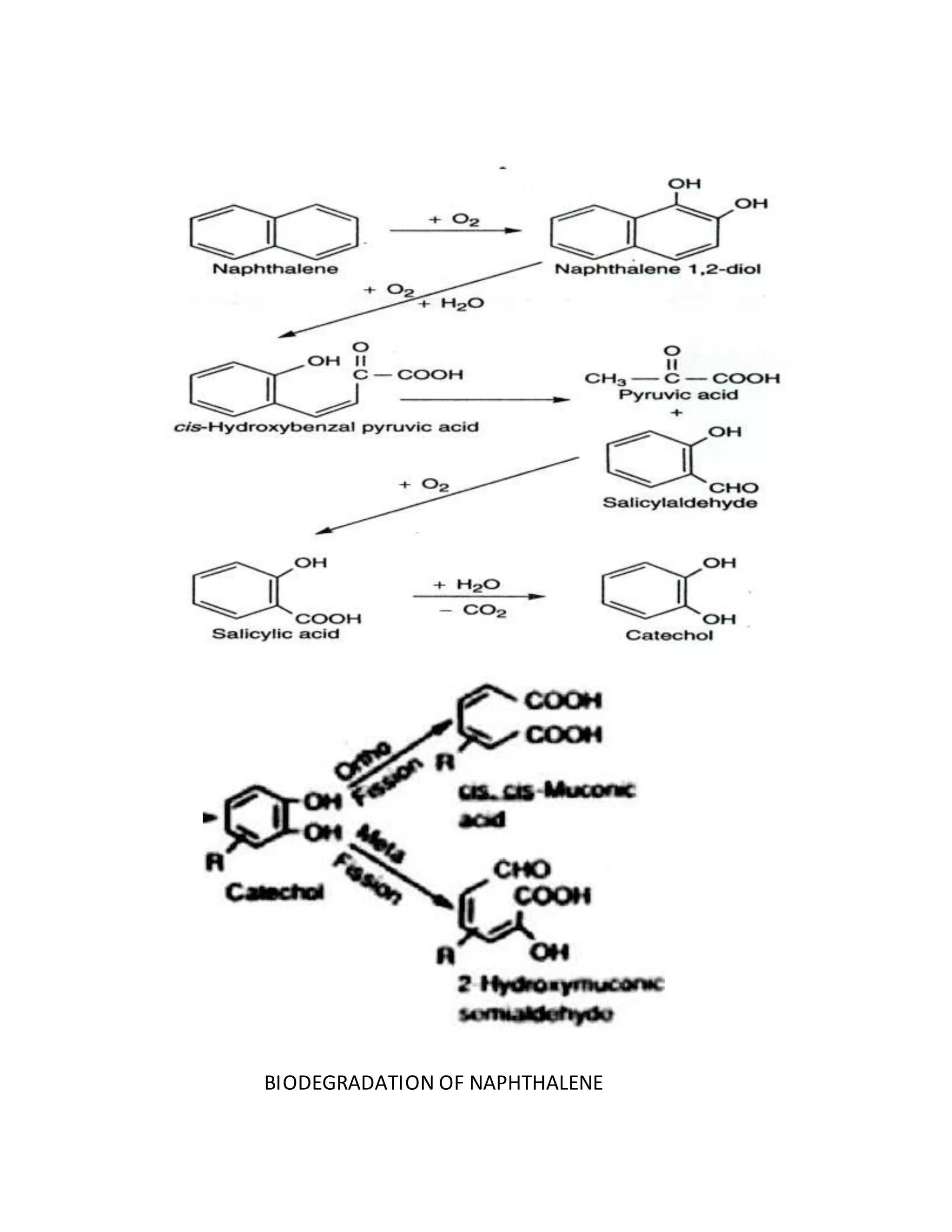 BIODEGRADATION OF ORGANIC POLLUTANTS | DOCX