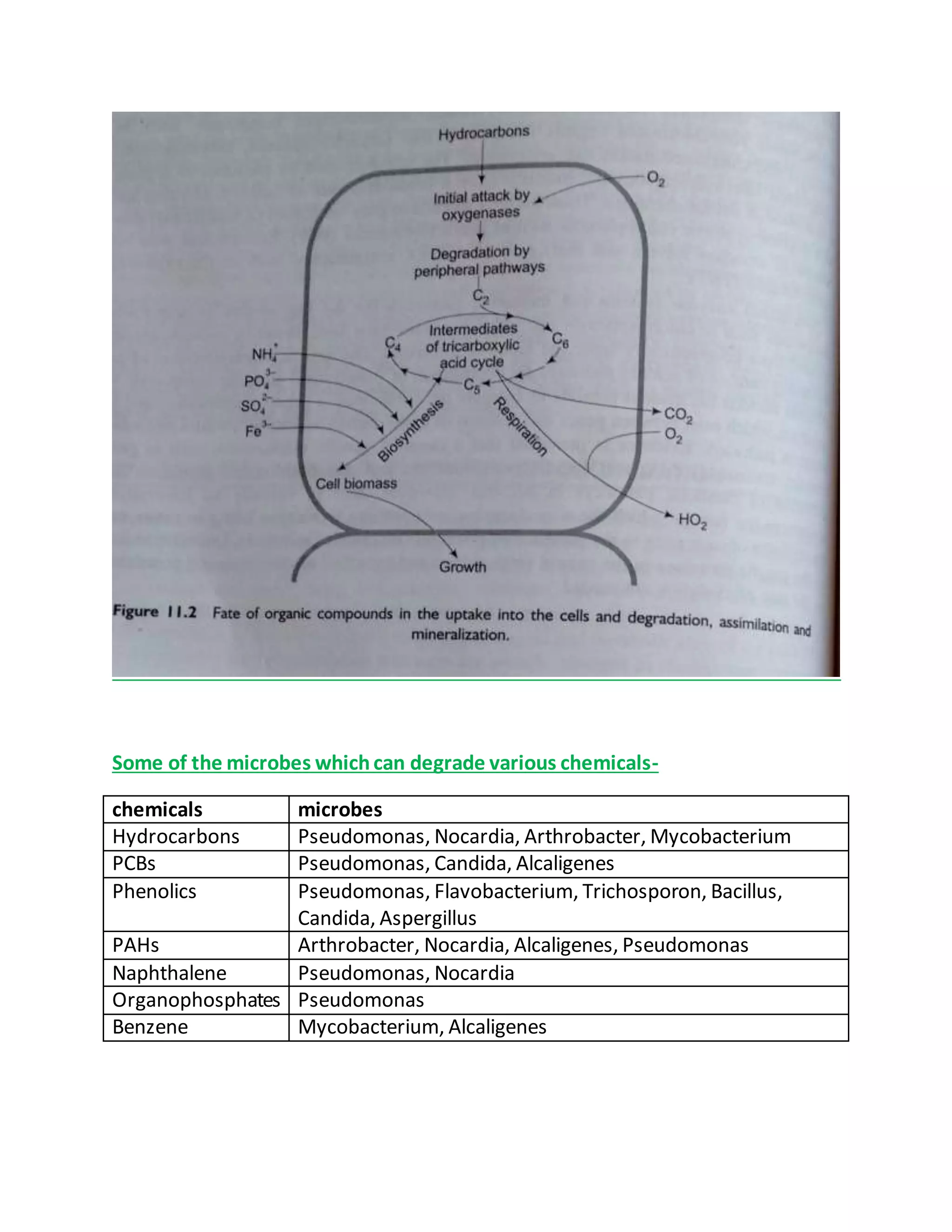 BIODEGRADATION OF ORGANIC POLLUTANTS | DOCX