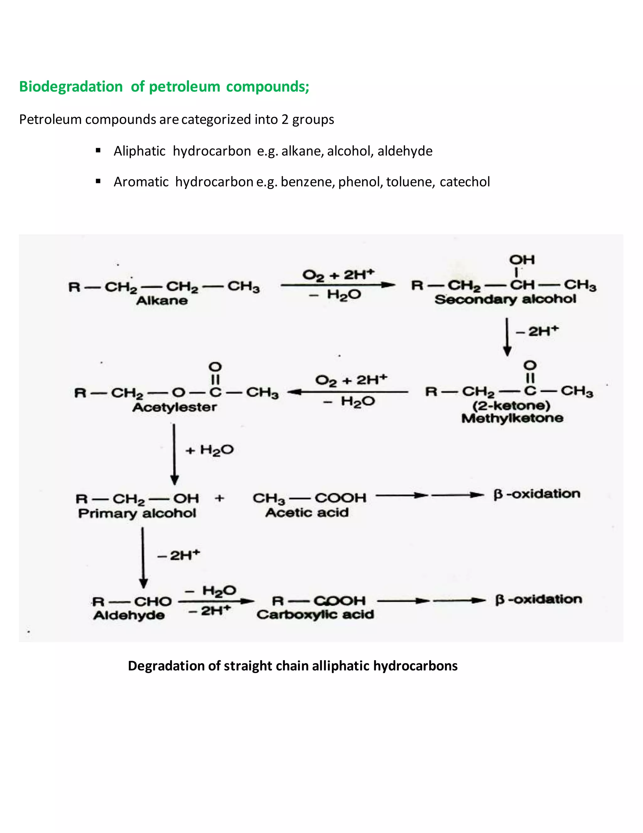 BIODEGRADATION OF ORGANIC POLLUTANTS | DOCX