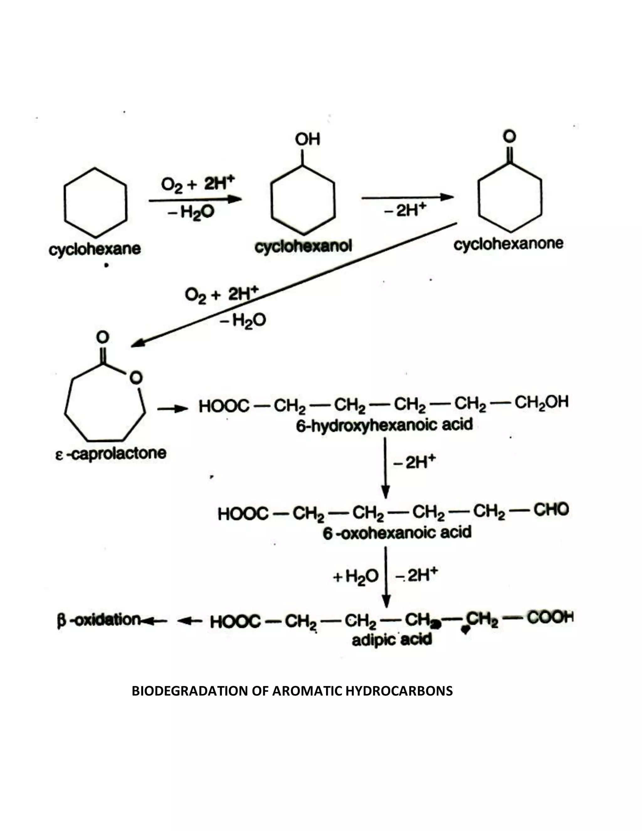 BIODEGRADATION OF ORGANIC POLLUTANTS | DOCX