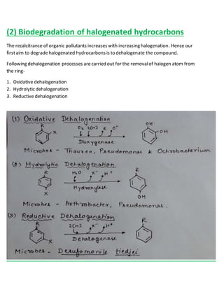 BIODEGRADATION OF ORGANIC POLLUTANTS | DOCX
