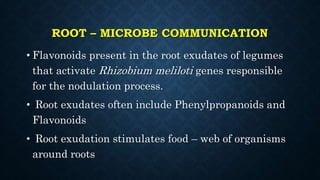 Root exudates | PPTX
