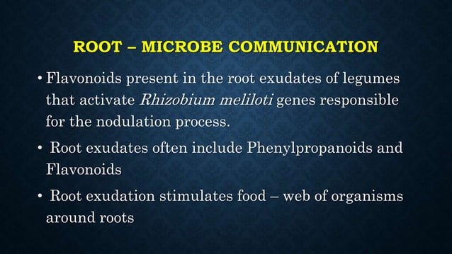 Root exudates | PPTX