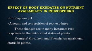 Root exudates | PPTX