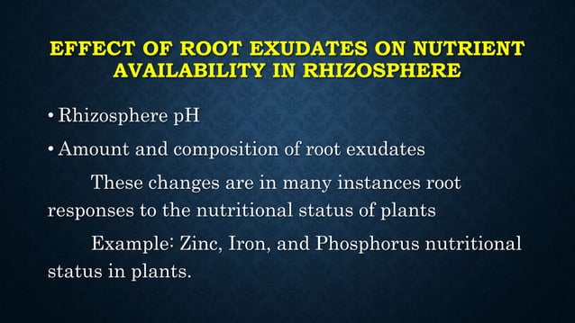 Root exudates | PPTX