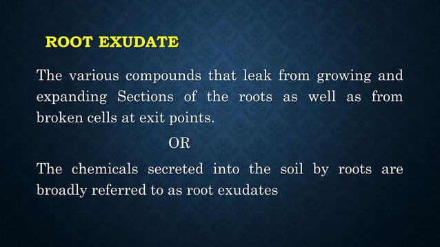 Root exudates | PPTX