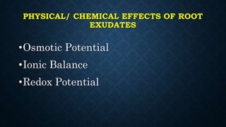 Root exudates | PPTX