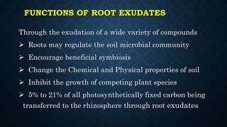 Root exudates | PPTX