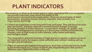 Environmental buffers | PPT