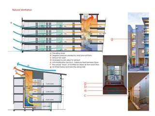 Environmental case study | PPTX