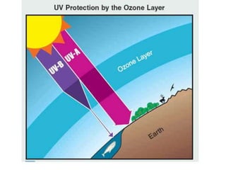 Global Warming, Acid Rain, and Ozone Depletion | PPTX