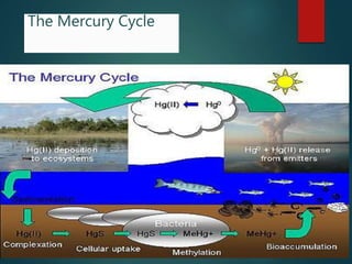 Environmental chemistry of mercury | PPTX