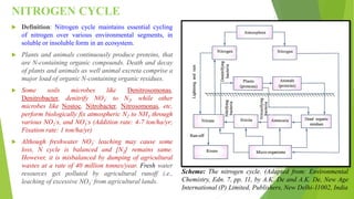 Environmental Segments and Natural/Biogeochemical cycles | PPT