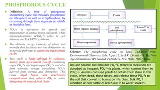 Environmental Segments and Natural/Biogeochemical cycles | PPT