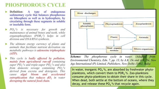 Environmental Segments and Natural/Biogeochemical cycles | PPT