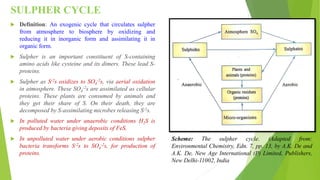 Environmental Segments and Natural/Biogeochemical cycles | PPT