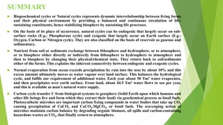 Environmental Segments and Natural/Biogeochemical cycles | PPT