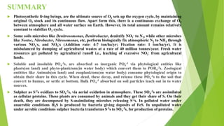 Environmental Segments and Natural/Biogeochemical cycles | PPT