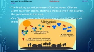 Environmental Chem Presentation..pptx
