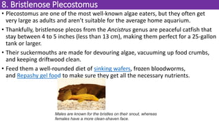 Aquatic Environment cleaning major fishes by B | PDF