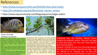 Aquatic Environment cleaning major fishes by B | PPT | Free Download