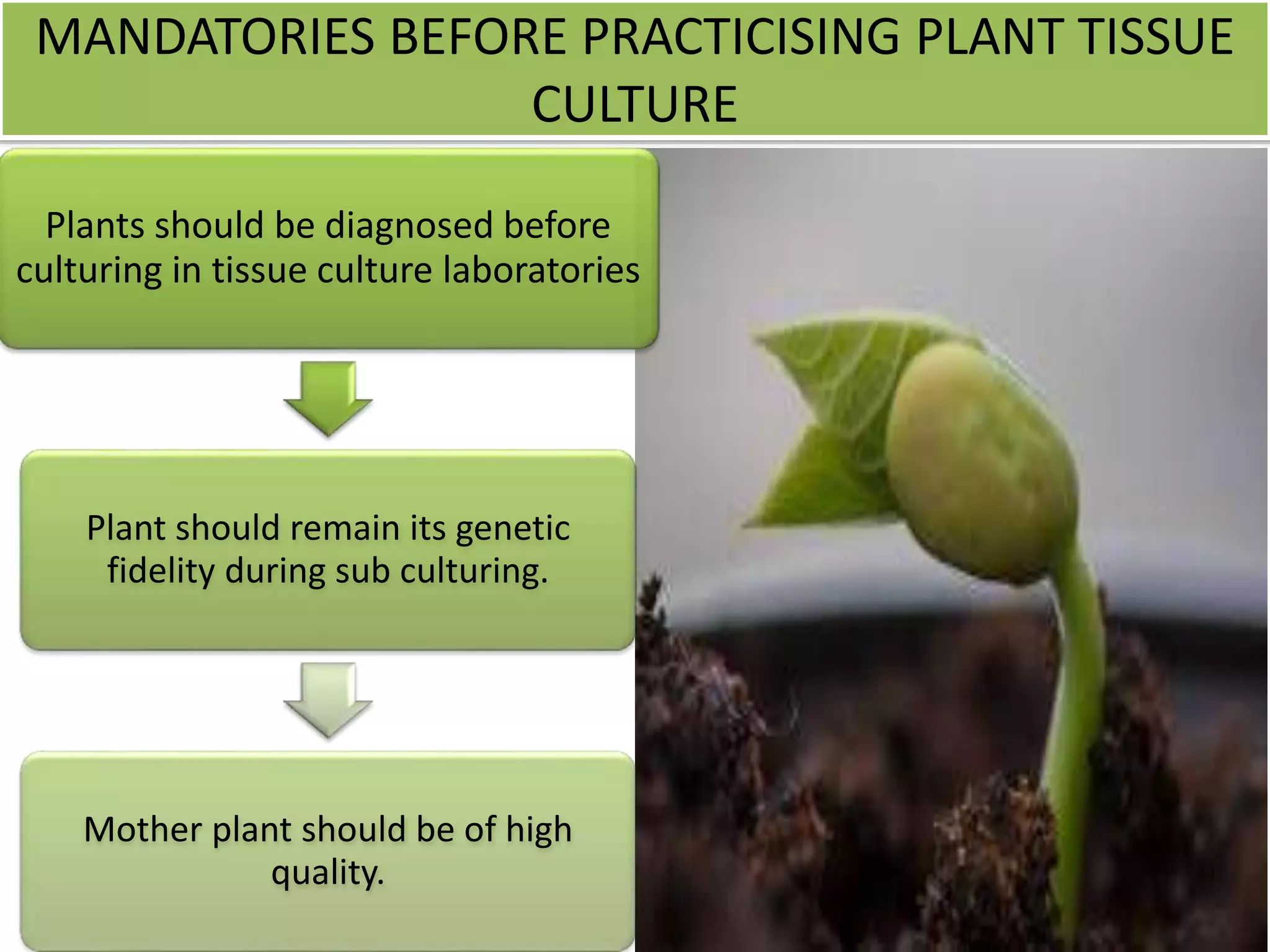 Environmental conditions for plant tissue culture laboratory | PPTX