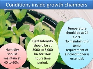 Environmental conditions for plant tissue culture laboratory | PPTX