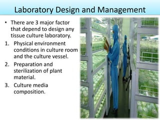 Environmental conditions for plant tissue culture laboratory | PPTX