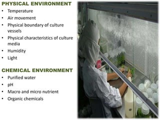 Environmental conditions for plant tissue culture laboratory | PPTX