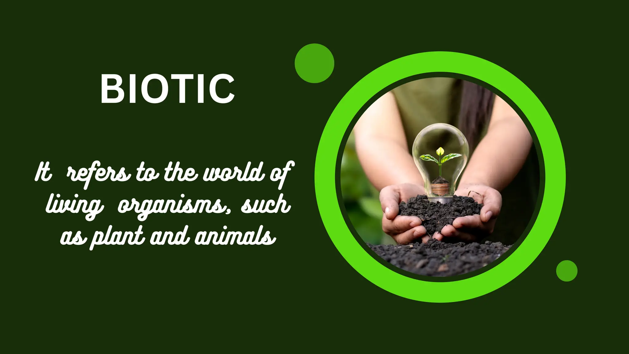 Class 7 Geography chapter no. 01 Environment | PDF