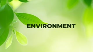 Class 7 Geography chapter no. 01 Environment | PDF