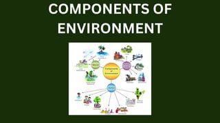 Class 7 Geography chapter no. 01 Environment | PDF